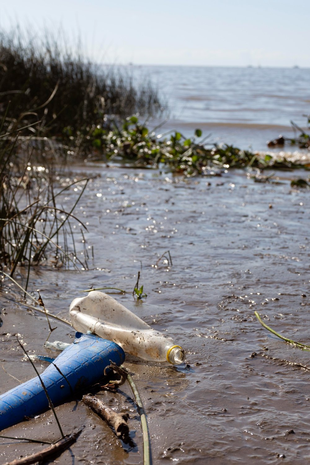Waste Water Removal Service UAE: Fast & Clean Service